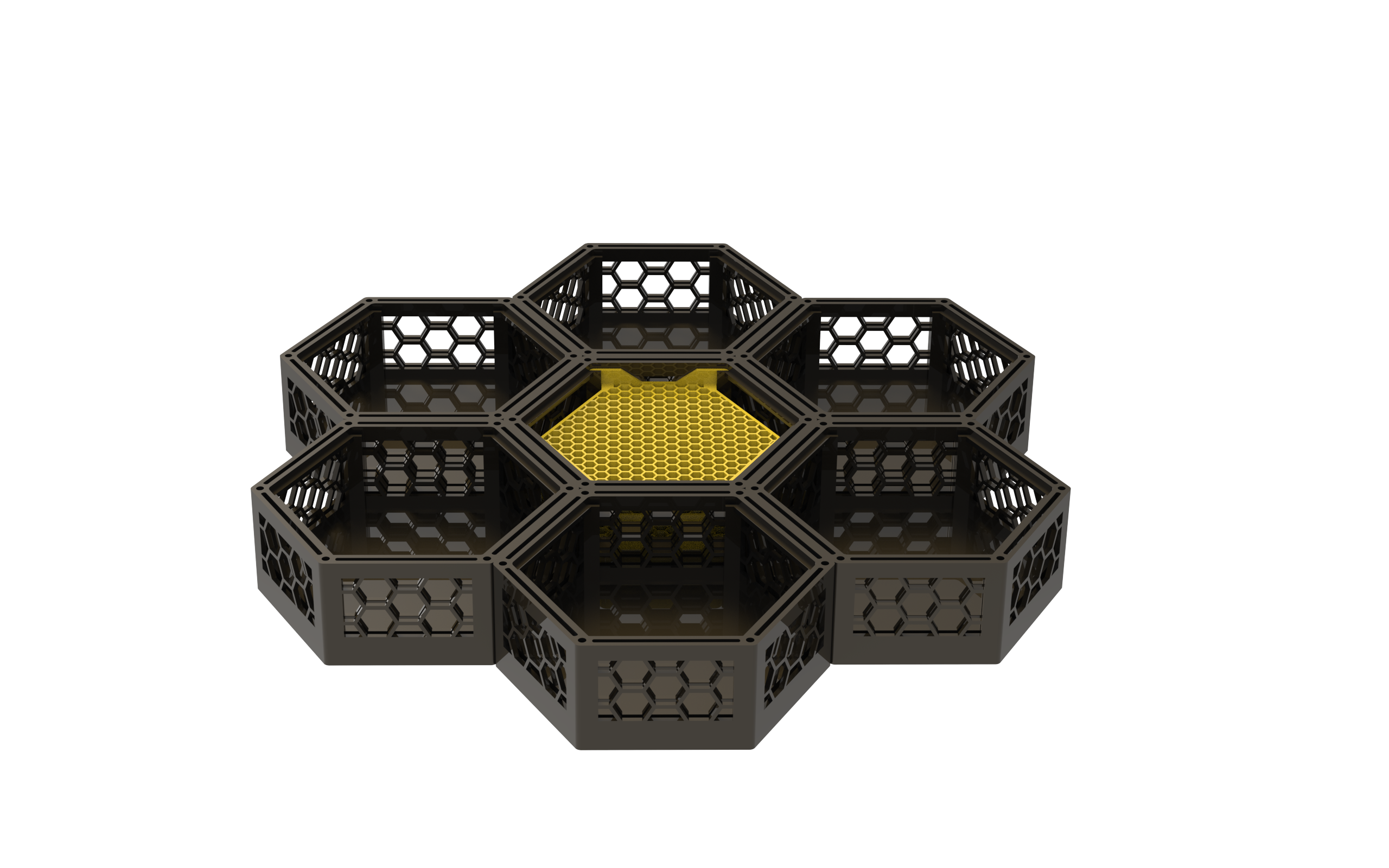 HexaBees | Modular Indoor Observation Beehives & Living Art